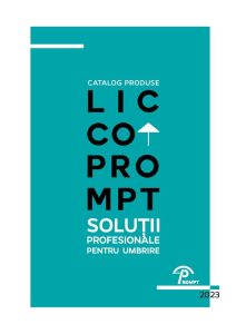 Licco Prompt